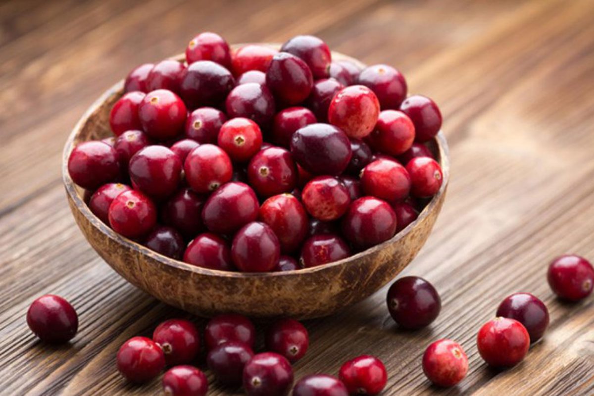 التوت البري الأحمر غذاء خارق